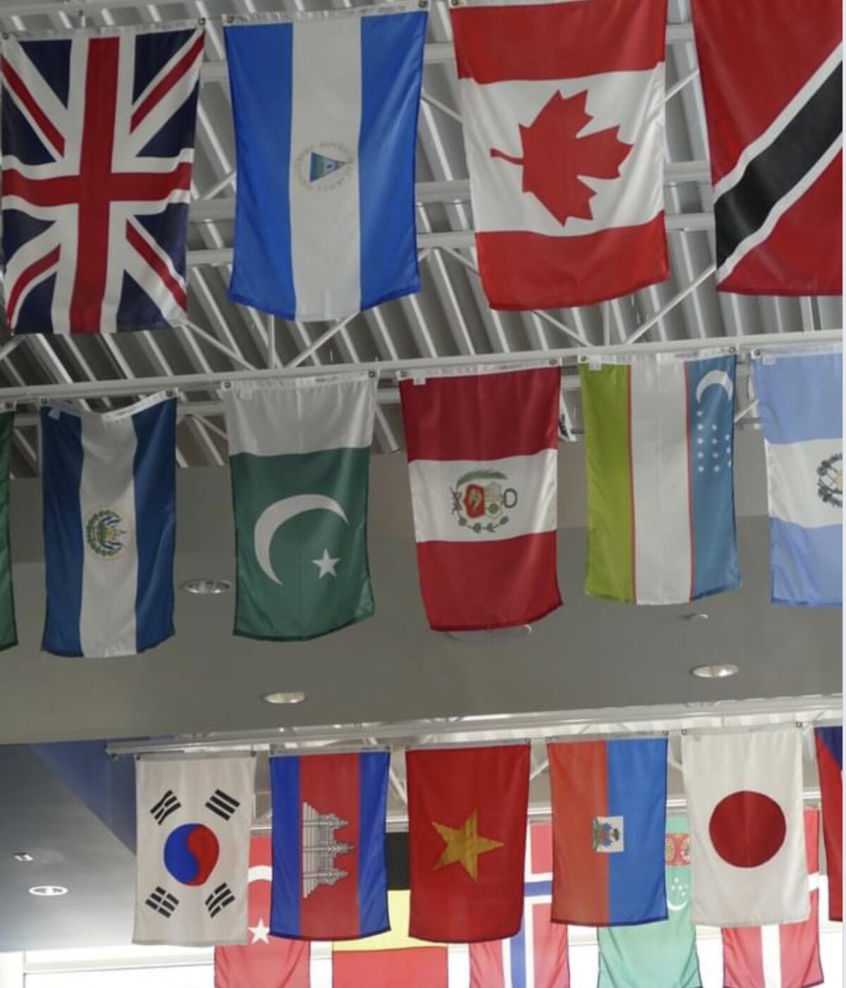 North Library Tree Represents Students and Their Home Countries ...