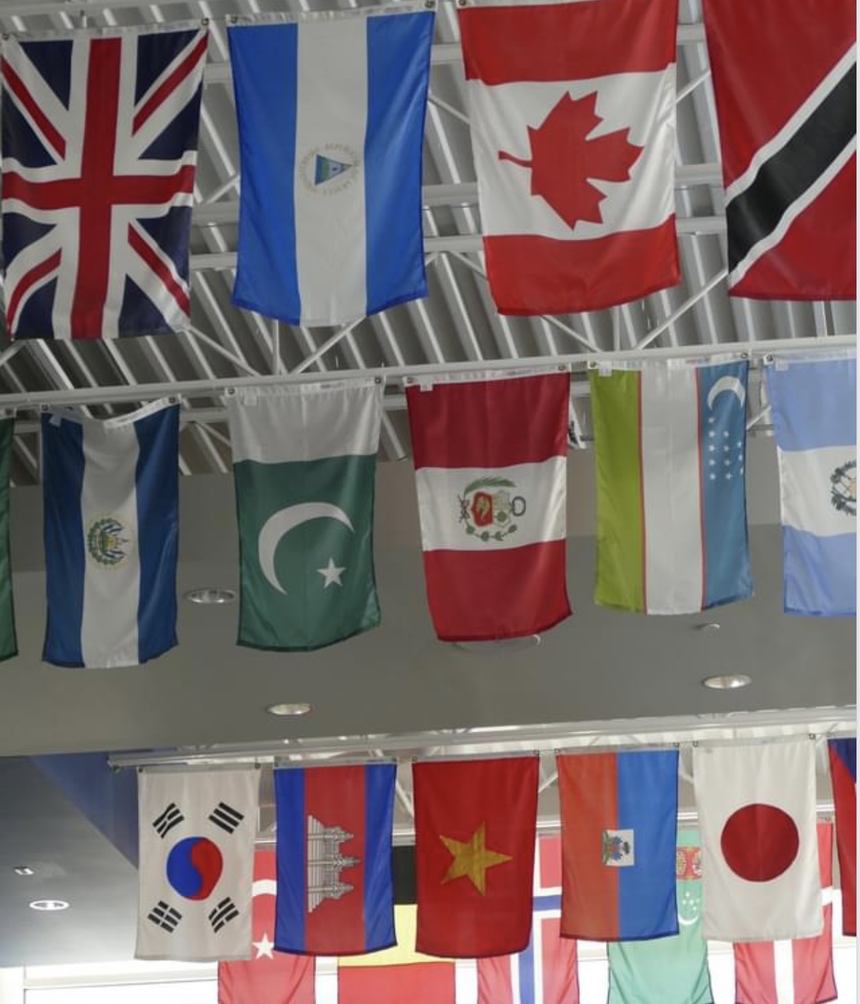 North Library Tree Represents Students and Their Home Countries ...